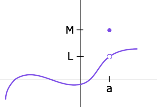 Essential or Infinite Discontinuity - Expii